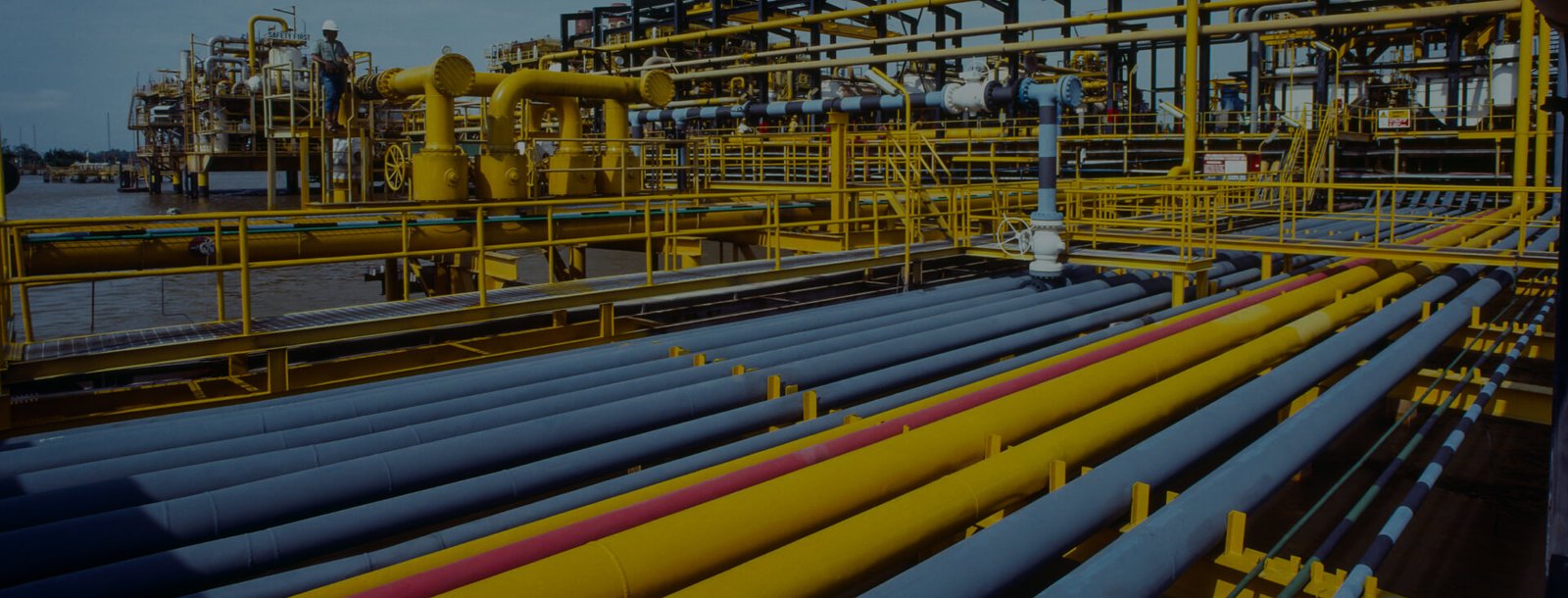 Trang chủ - Đức Hòa - Shell Products Distributor